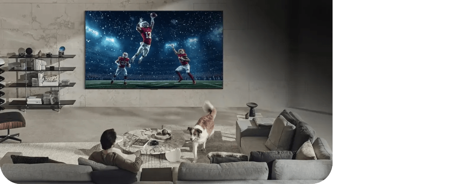 TV Buying Guide: How to Choose a TV | LG USA