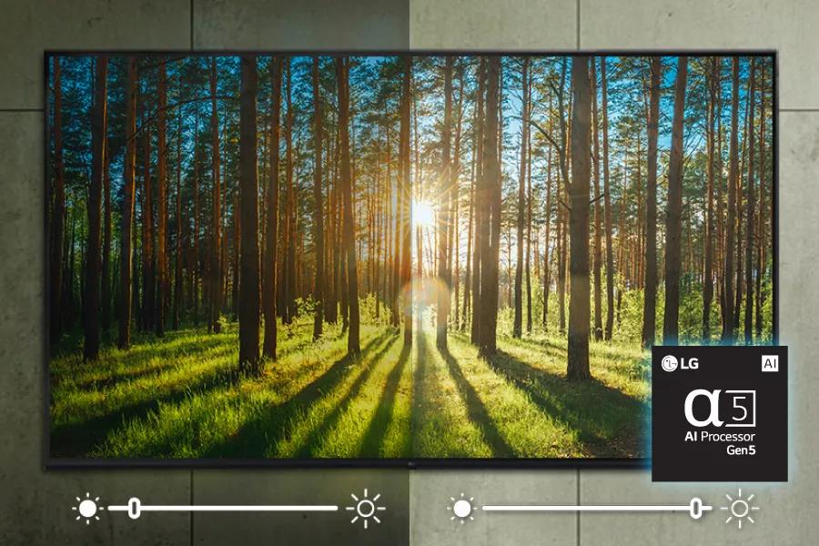 55" LG 4K UQ7050 ZUD Series 4K TV - 55UQ7050ZUD | LG USA