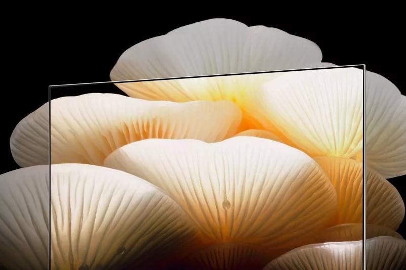 55 inch Class LG OLED Posé 4k Smart TV 55LX1QPUA | LG USA