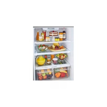 20 cu. ft. Top Freezer Refrigerator - LTCS20030S | LG USA